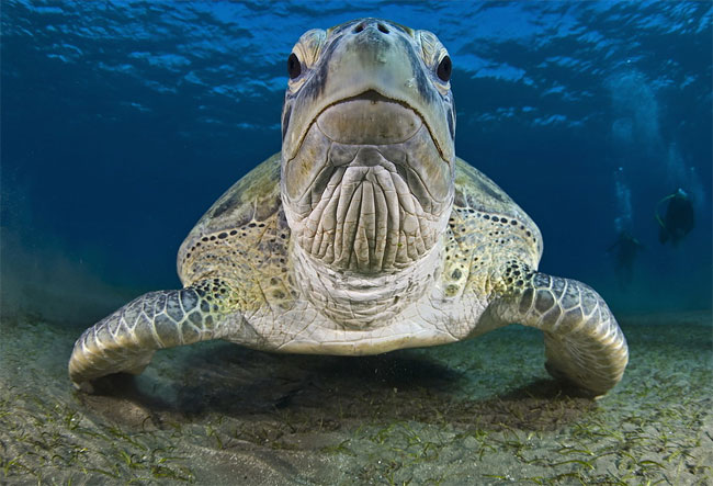 Conheça o projeto que está espalhando fascinantes fotografias ...